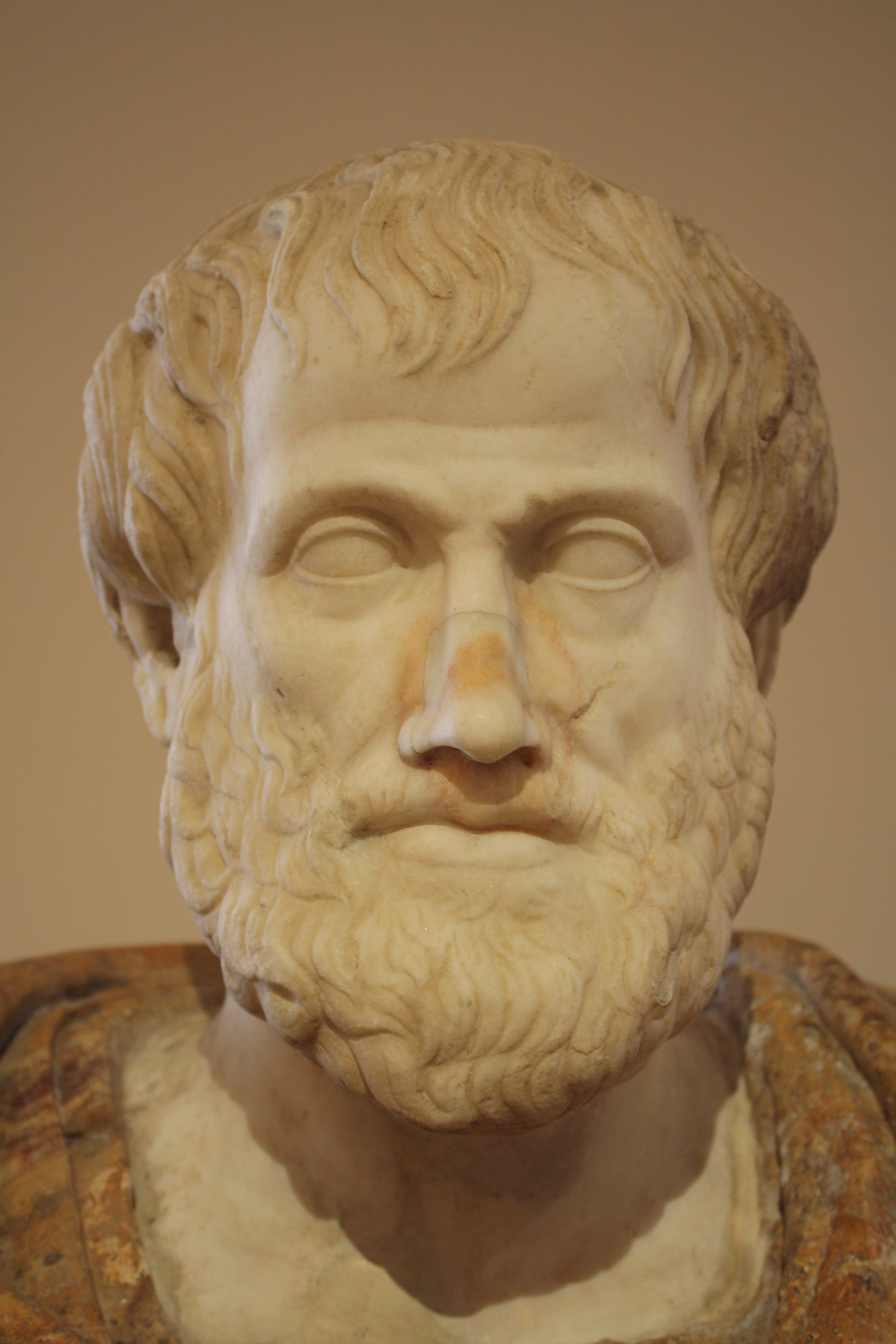 Aristotle (Philosopher)