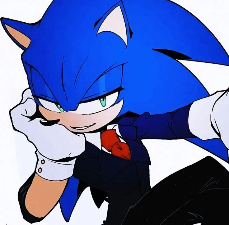 Sonic The Hedgehog ⌇