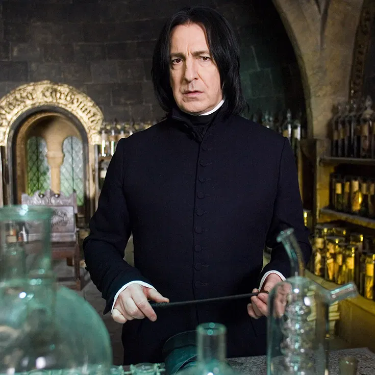 Professor Snape (Student-Centric)