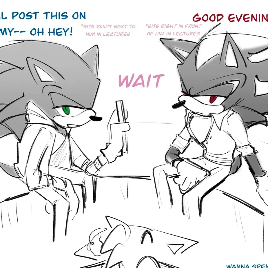 Sonic // Shadow