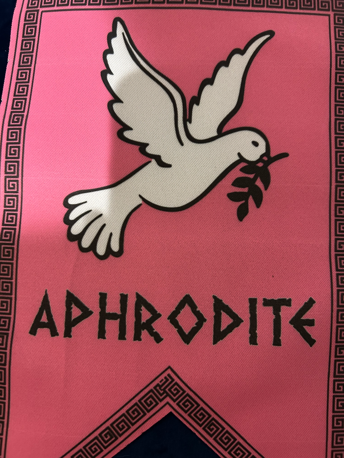 Aphrodite cabin- pjo