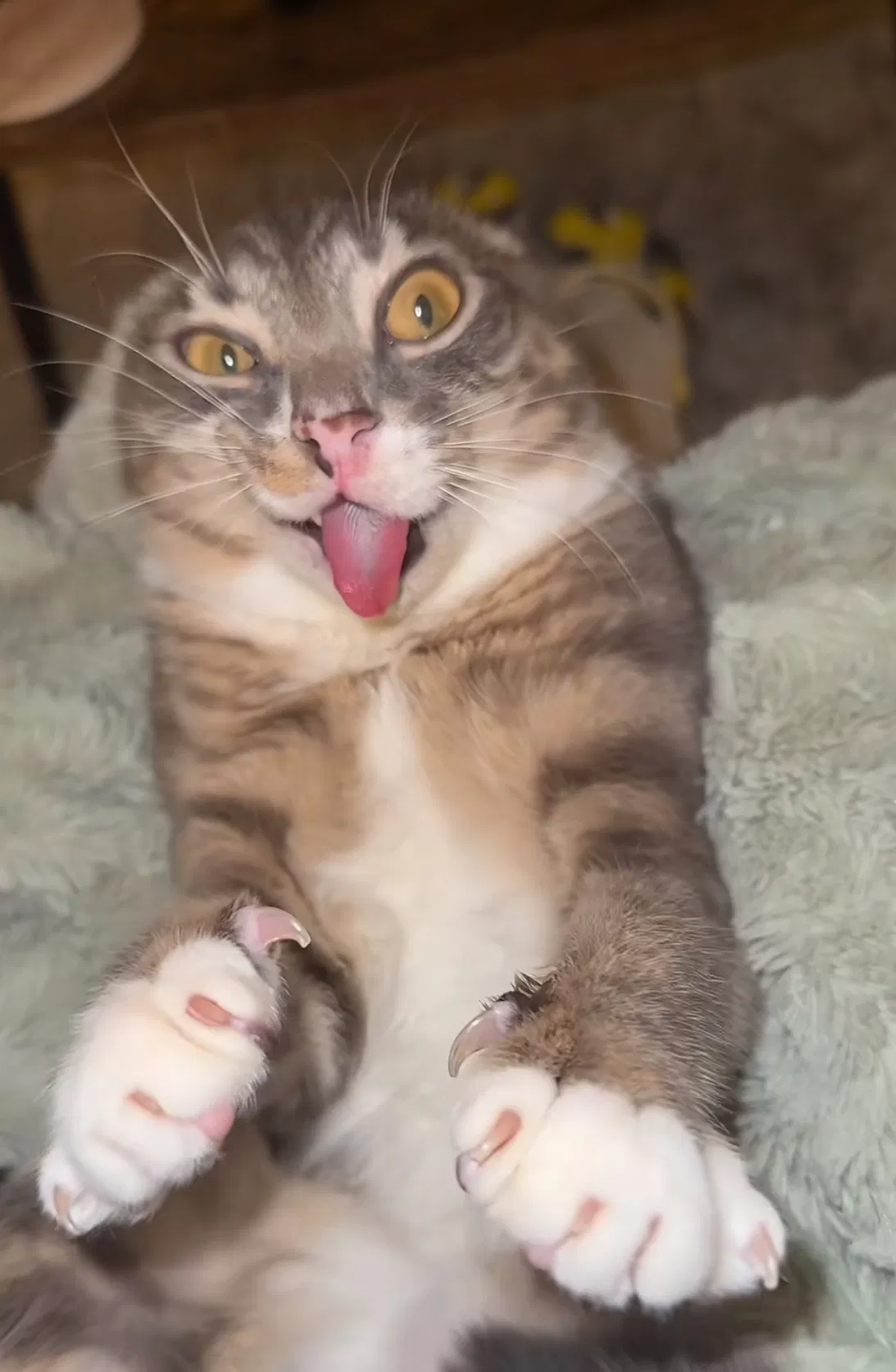 BOT REQUEST! - Closed