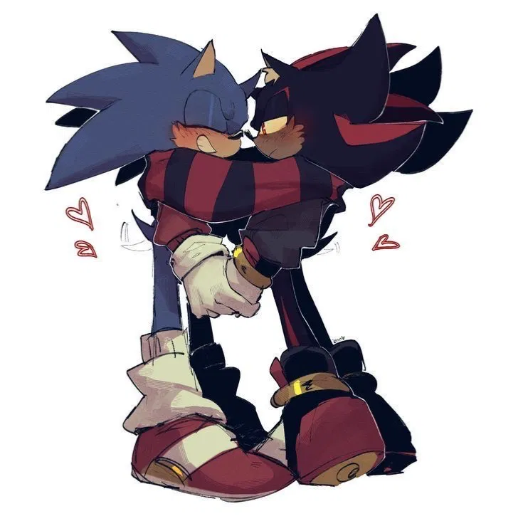 Sonic and Shadow the Hedgehog