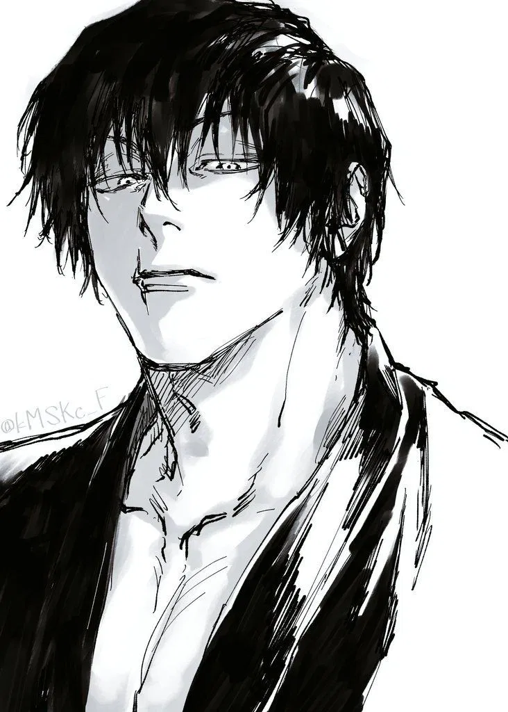 Toji Fushiguro | JJK Series