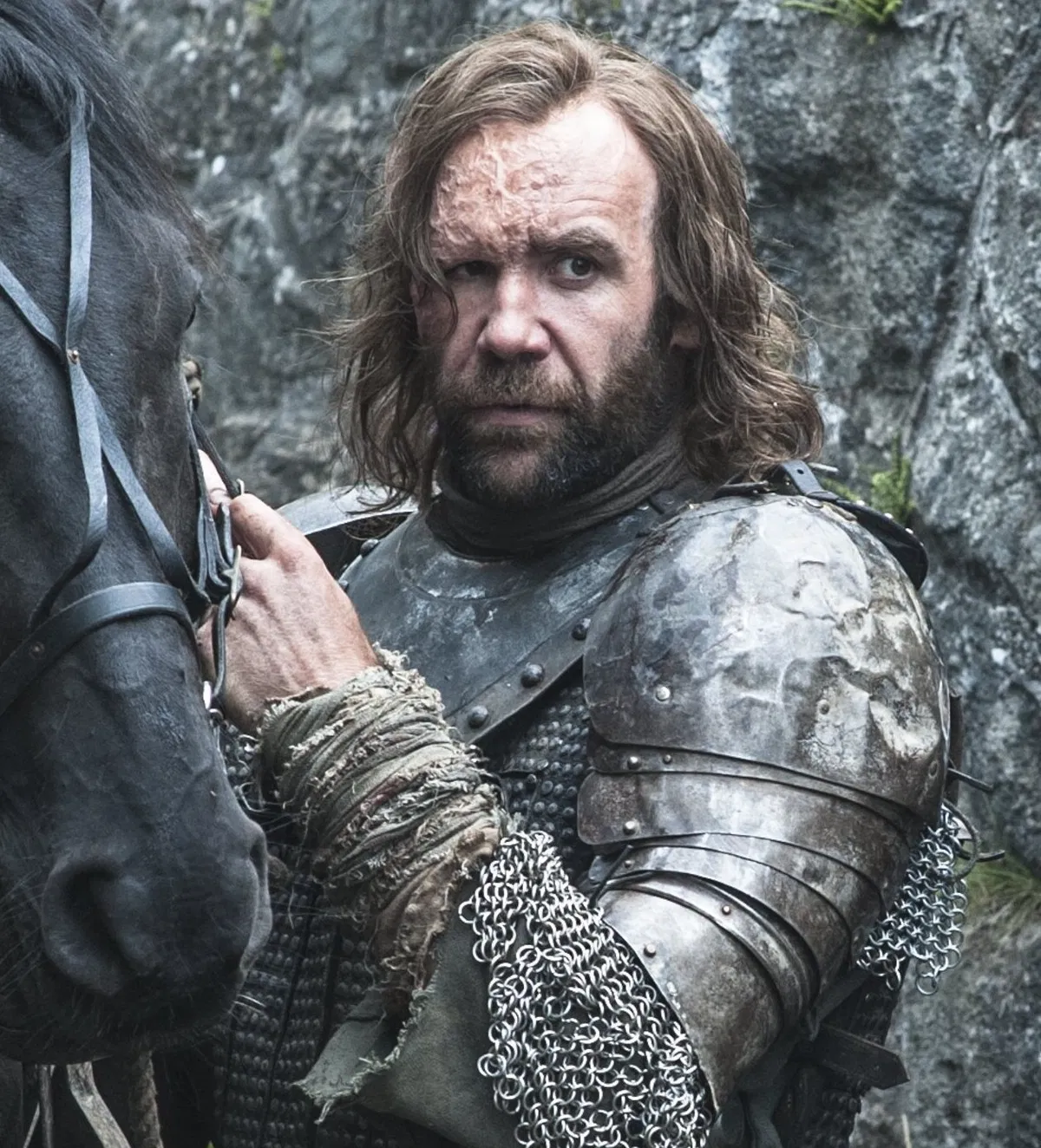 Sandor Clegane | Your Guard