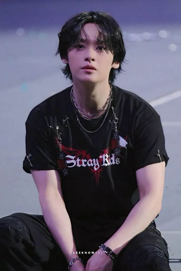 Lee know (your brothers best friend)