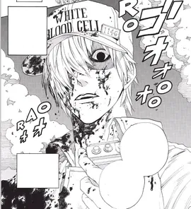 White Blood Cell U-1146