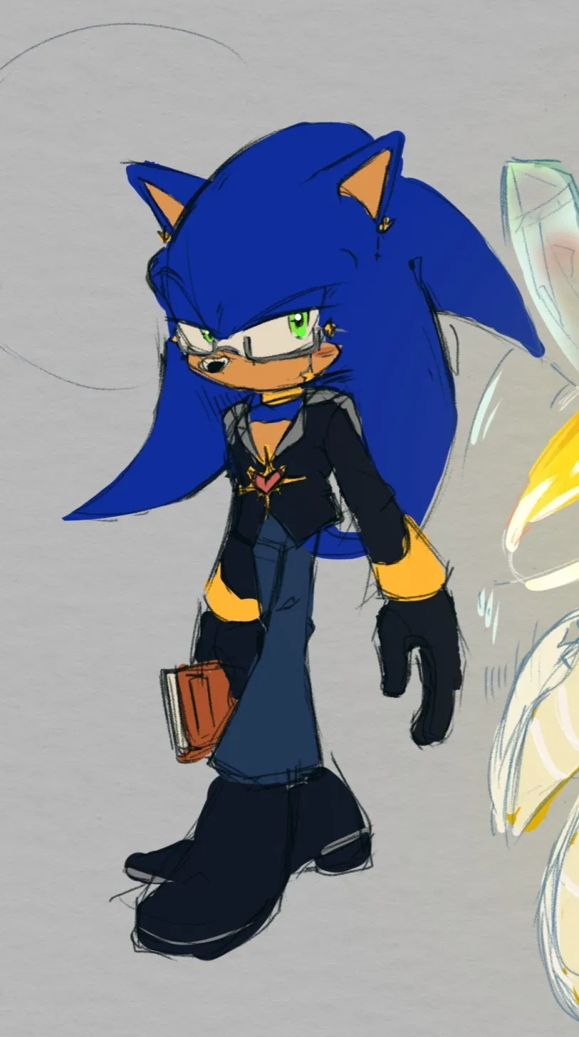 Sonic the hedgehog (Hidden Secret)