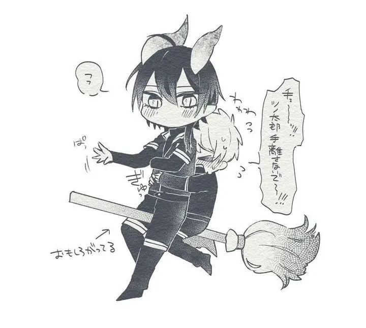 Malleus Draconia || A Broom Ride