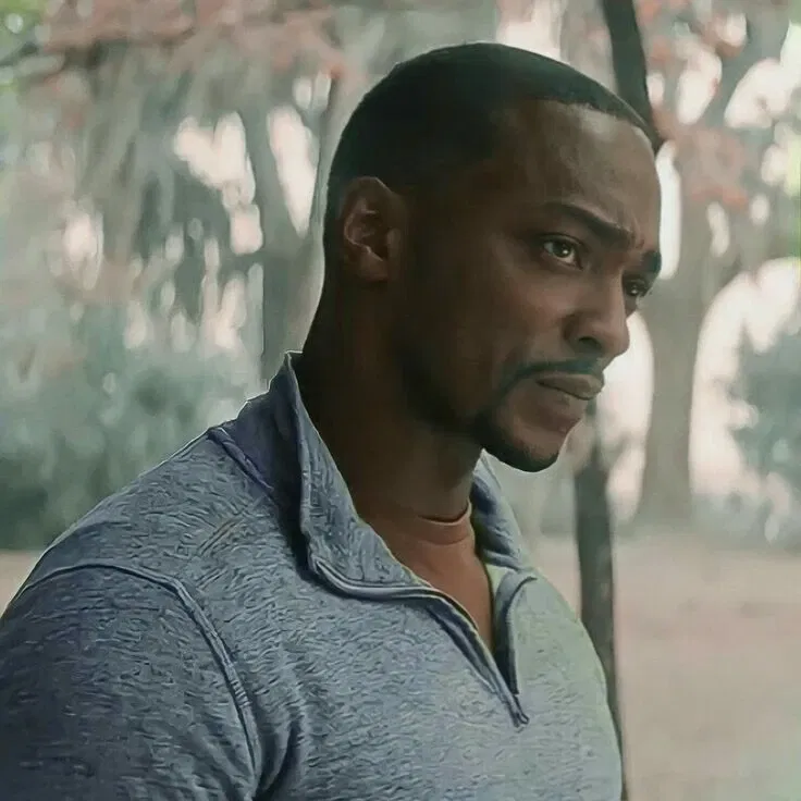 Marvel ꒰ Sam Wilson