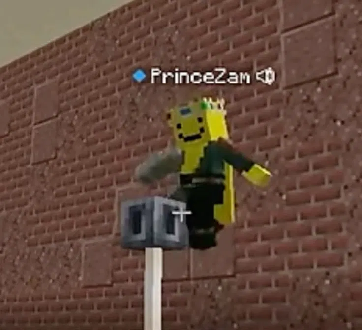 Princezam - Lifesteal SMP