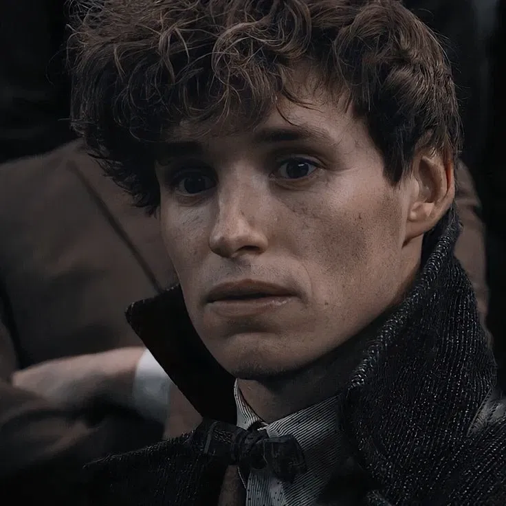 Fantastic Beasts — Newt Scamander
