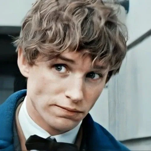 Fantastic Beasts — Newt Scamander