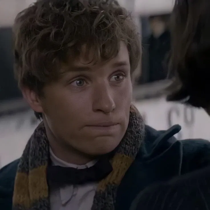 Fantastic Beasts — Newt Scamander