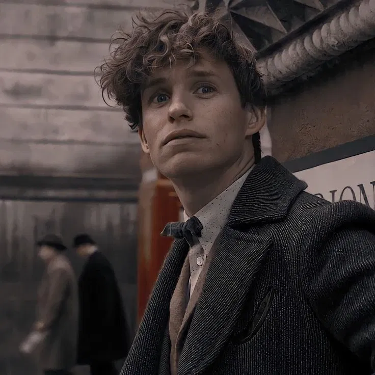 Fantastic Beasts — Newt Scamander