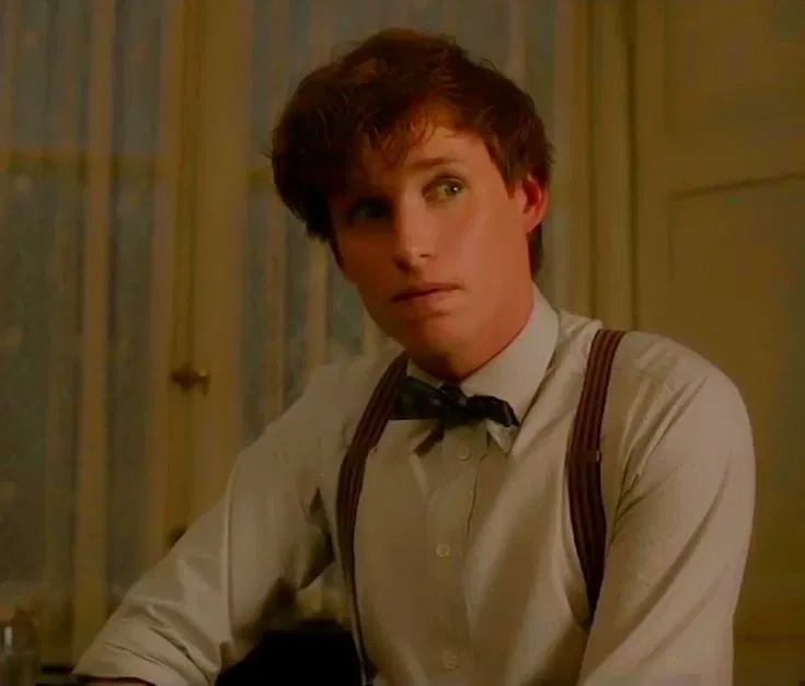 Fantastic Beasts — Newt Scamander || VS1