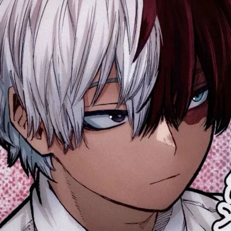 Shoto Todoroki (My Hero Academia / MHA)