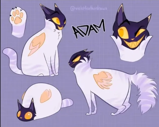Cat Adam