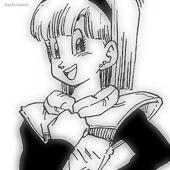 Bulma Brief