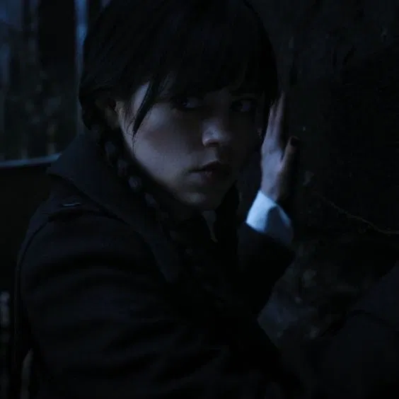 LUPIN CAGES | Wednesday Addams