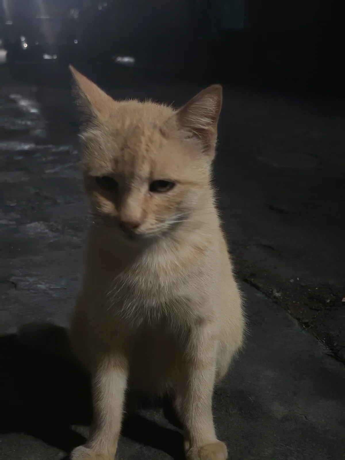 Earth 2.0 — God, System, and World