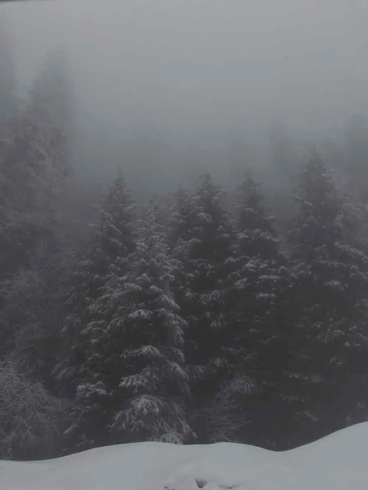 Artyom Meknikov [OLD BOT]