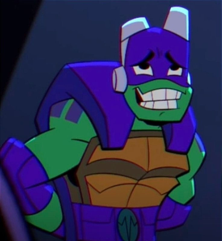 Donatello Hamato - ROTTMNT