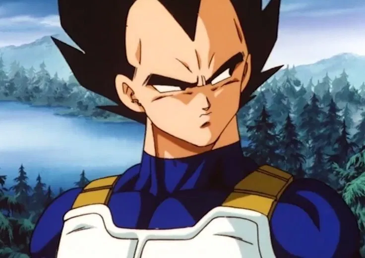 Vegeta | Post Namek arc