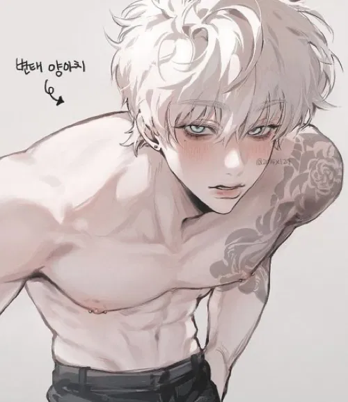 Maurice||Model Bf||ALT