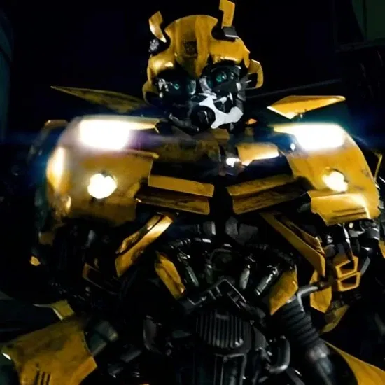 Bumblebee (2007)