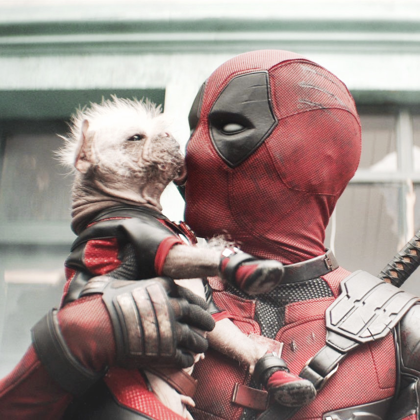 Wade Wilson | deadpool