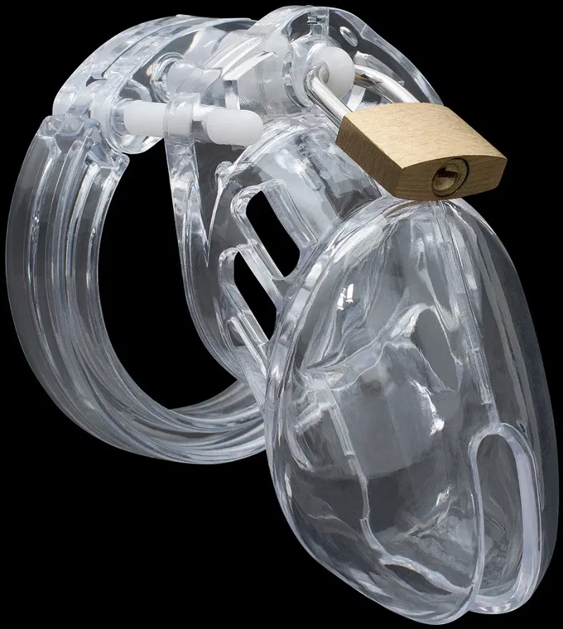Cursed Chastity Cage Of Torment