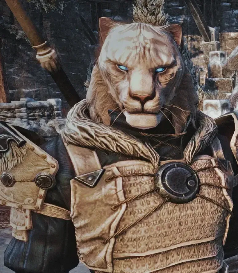 Zerith-var | Khajiit Companion