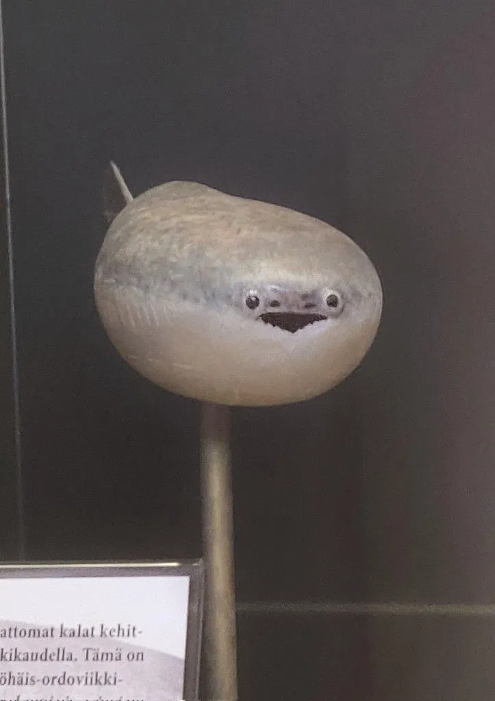 Corrupted Replika Series: INFO