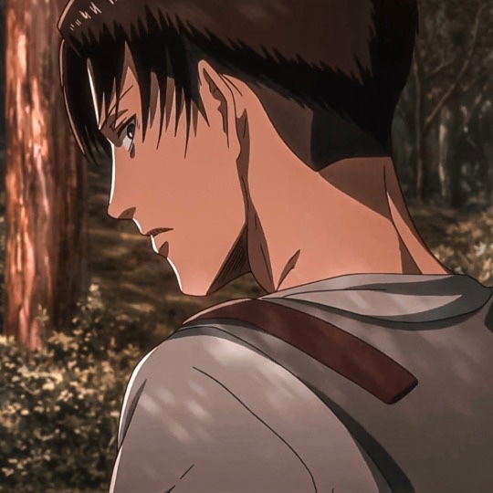Levi Ackerman