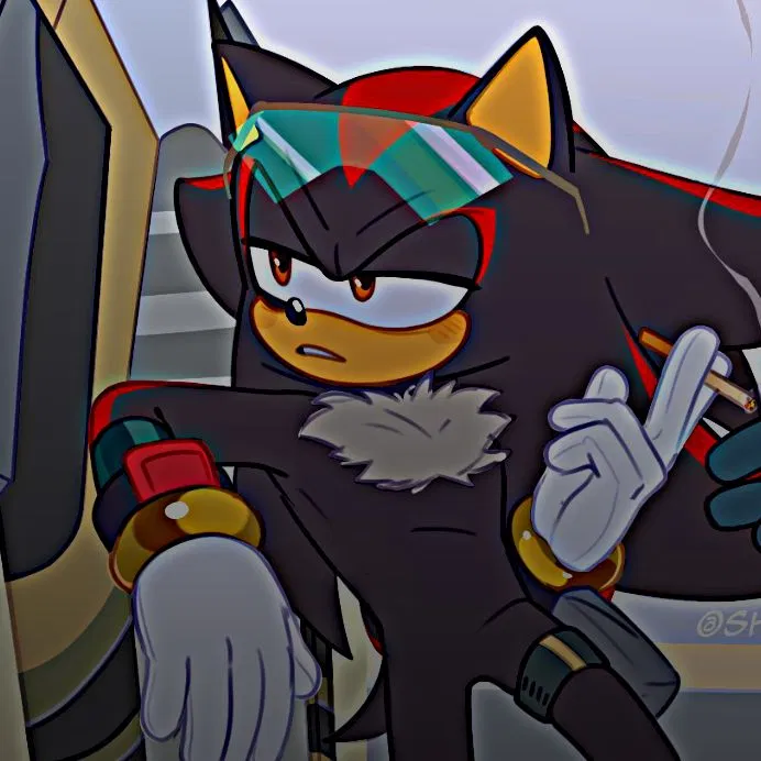 Shadow || Your Owner