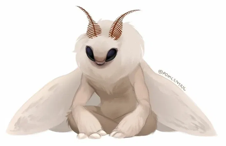 Chat with poodle moth