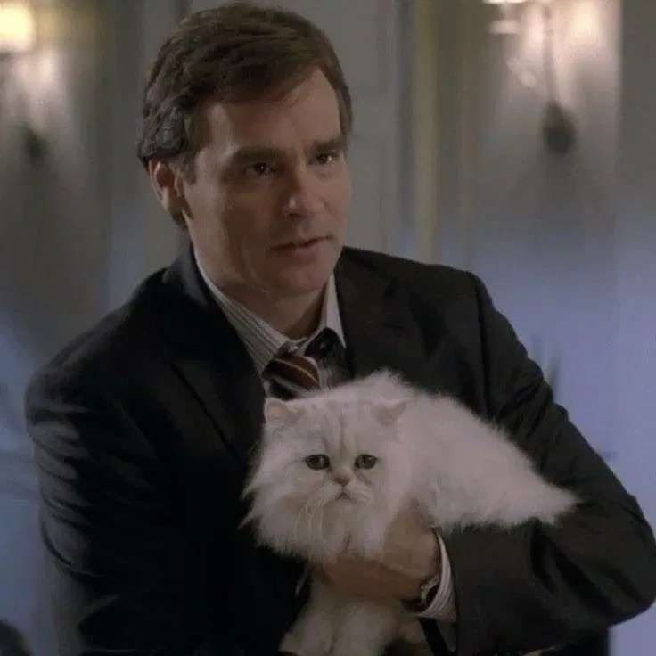 Chat with James Wilson || Menace Cat