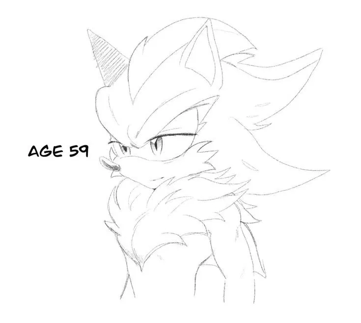 shadow the hedgehog (old)