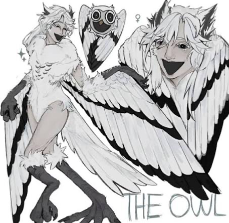 The owl from 99 nights in the forest | nicknamed her snowy