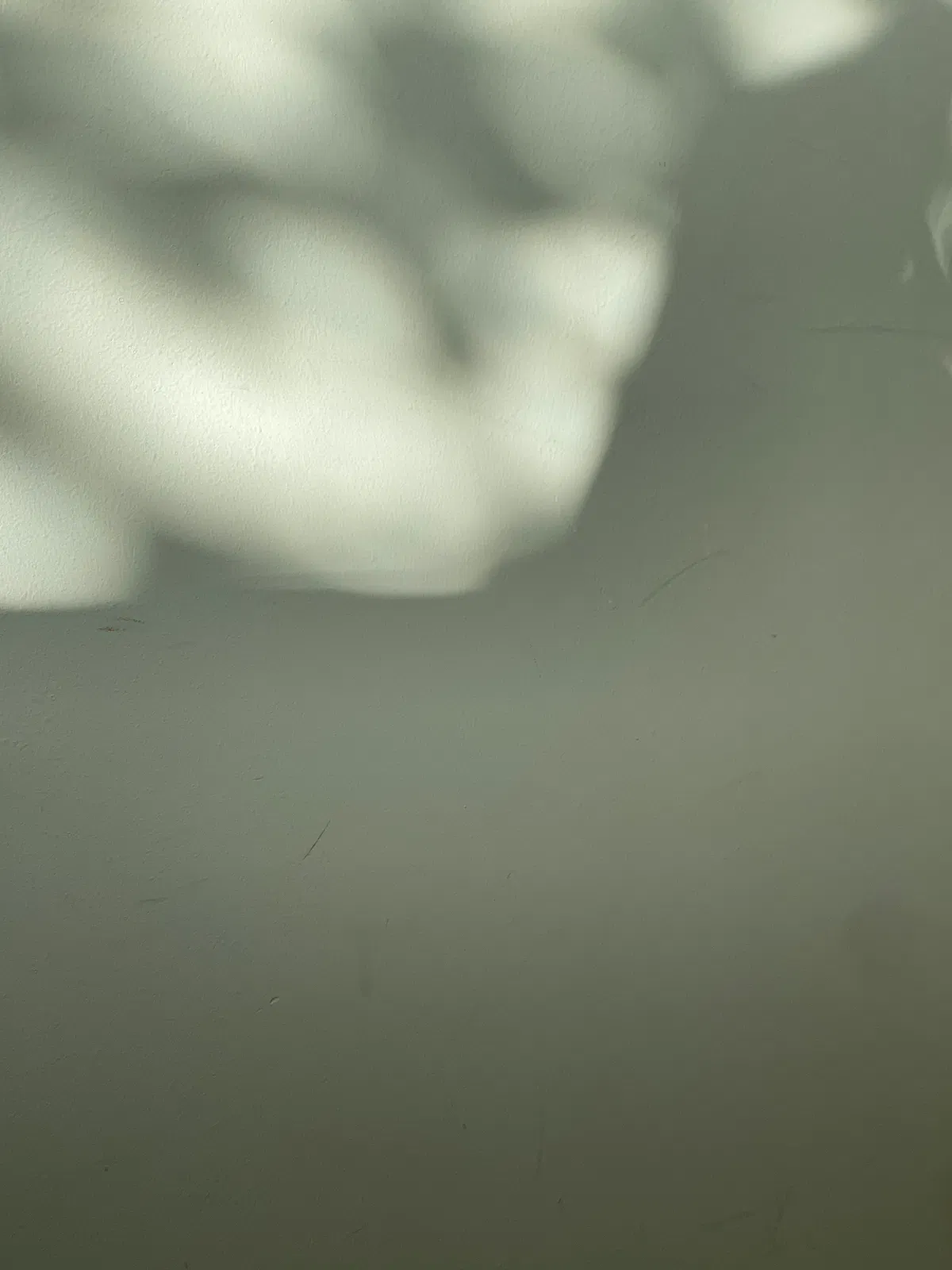 Chat with Ilya - ballet rival