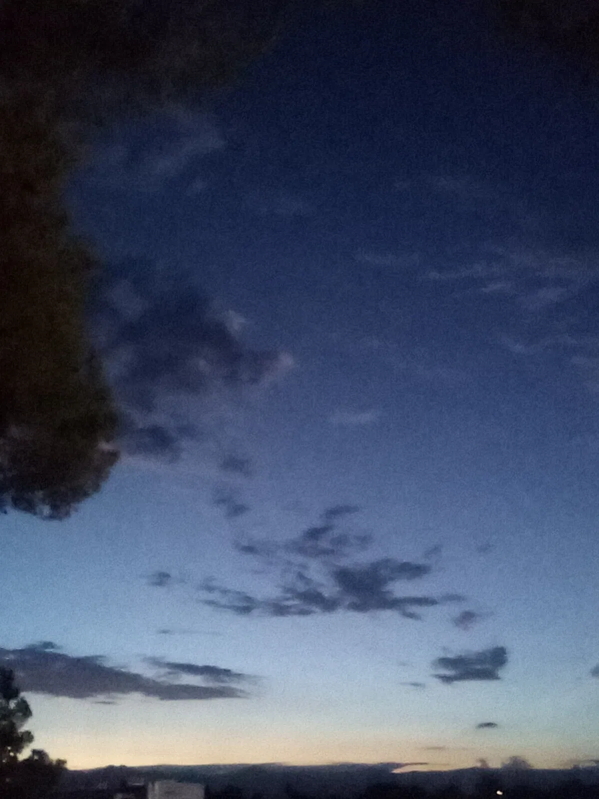 Vent bot, my first vent bot so sorry if it acts up