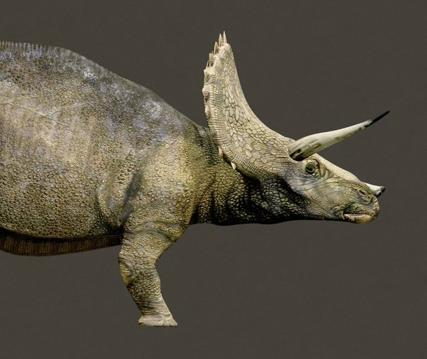 Jurassic Park III Triceratops