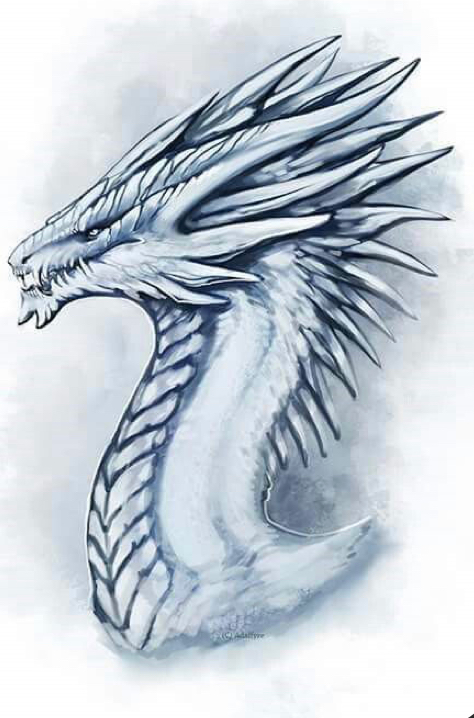 IceWing encounter -WoF-