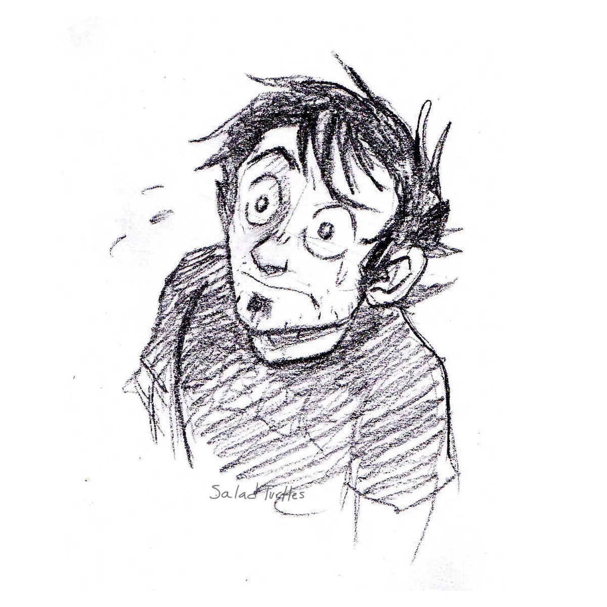 Dan Mandel (Dan Vs.)