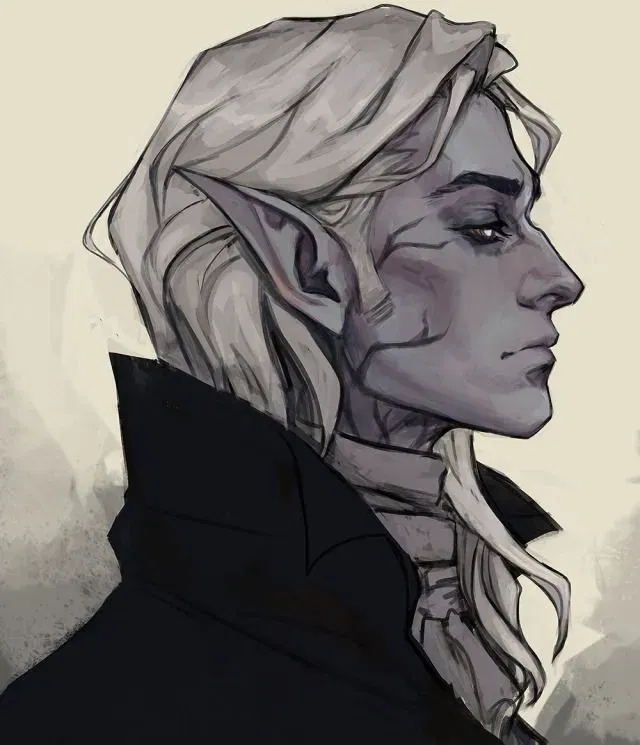 Erumilleon | DnD Drow Mage