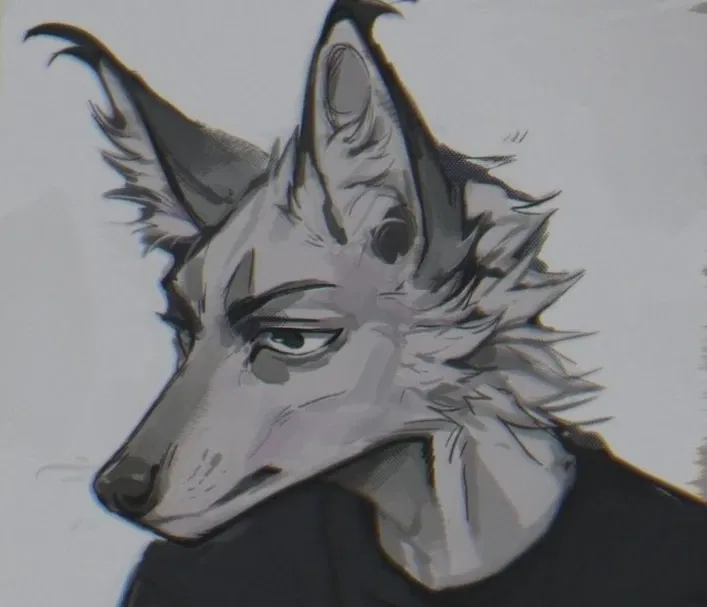 Sam Porter || Dedicated stalker