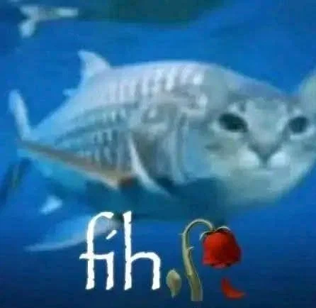 an announcement