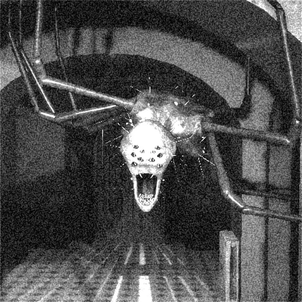 Equalia Falls Mental Institute | The Spider