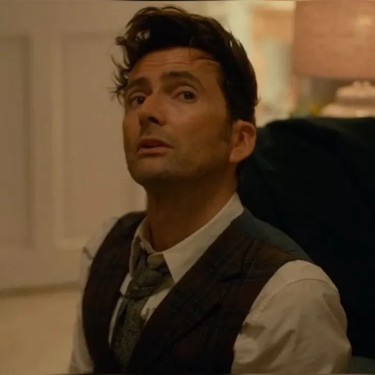 The Fourteenth Doctor